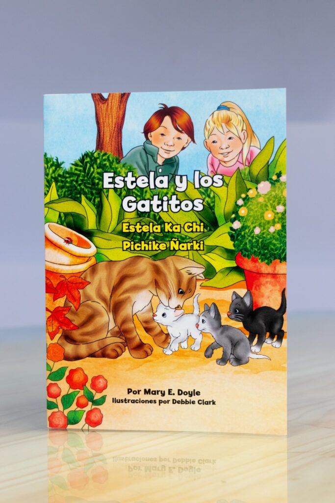 Lanzan inédito libro de cuentos bilingüe castellano-mapuzungun Estela ...