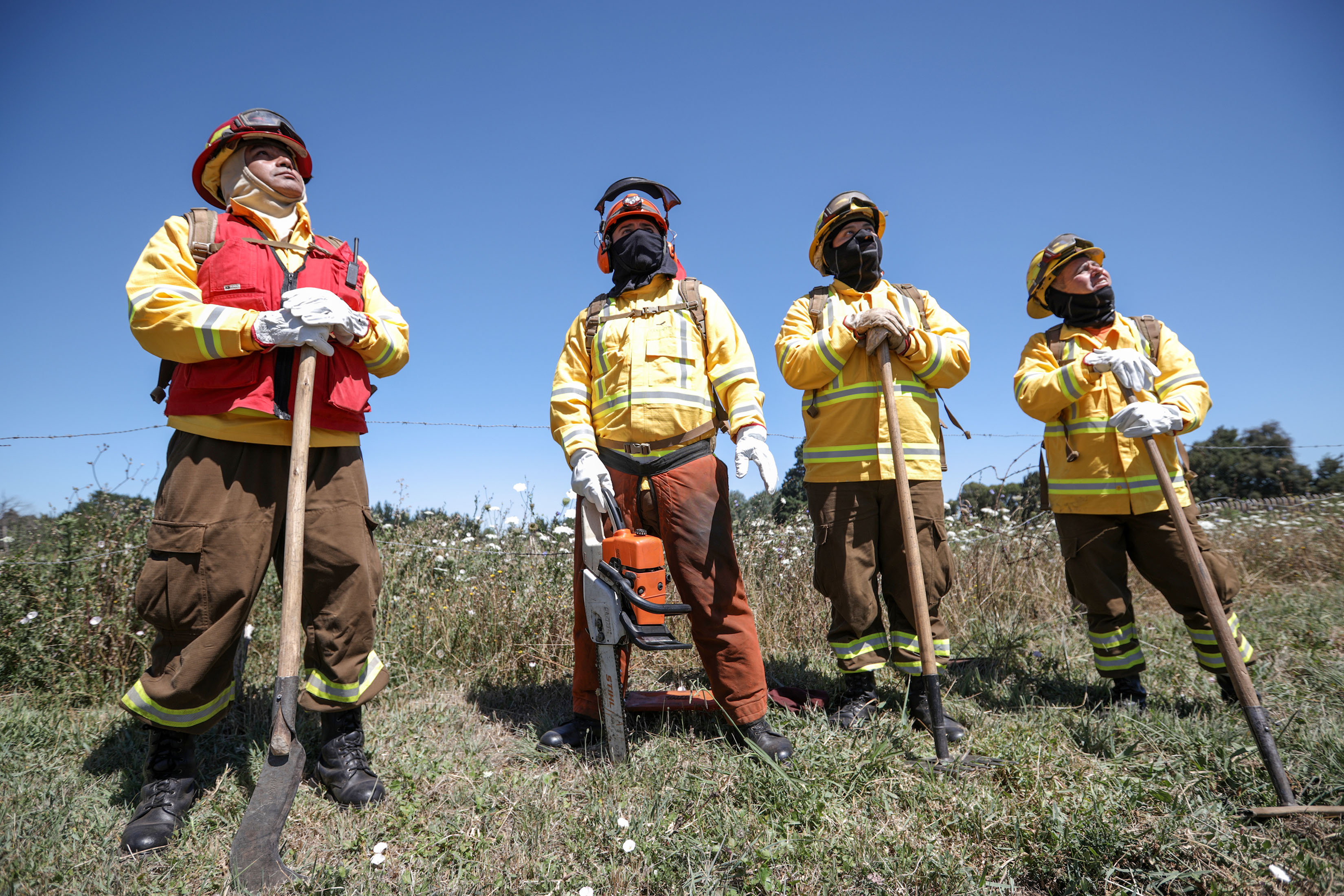 CORMA valora y reconoce a los Brigadistas Forestales por su trabajo en ...